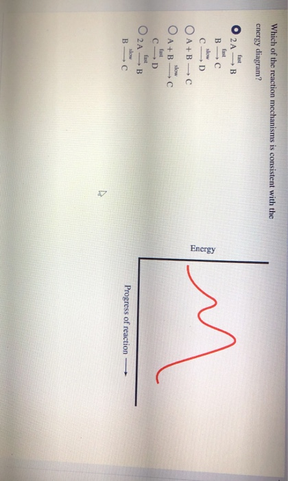 Solved which of the reaction mechanism is consistent with | Chegg.com