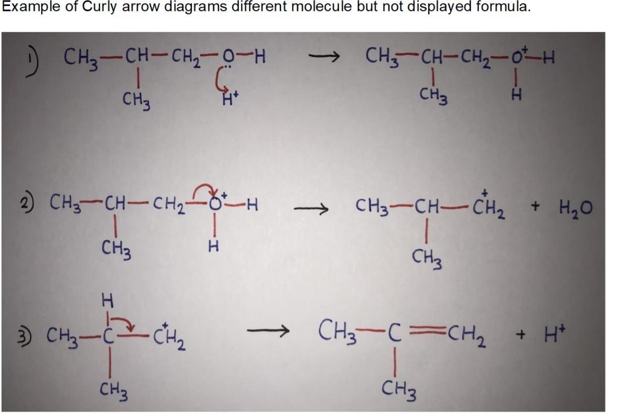 Solved An amine can be formed when 2-iodopentane is heated | Chegg.com