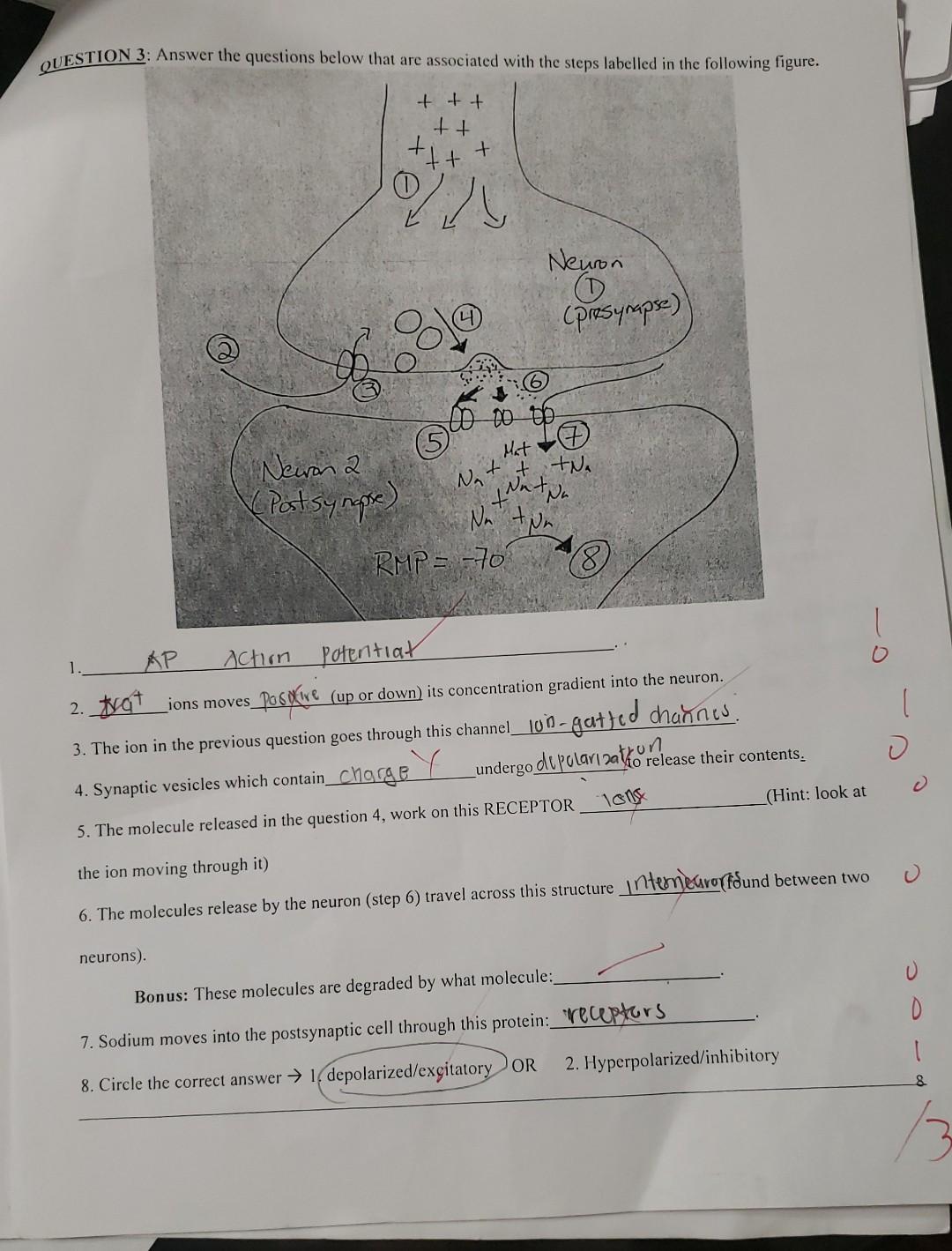 Solved QUESTION 3: Answer the questions below that are | Chegg.com