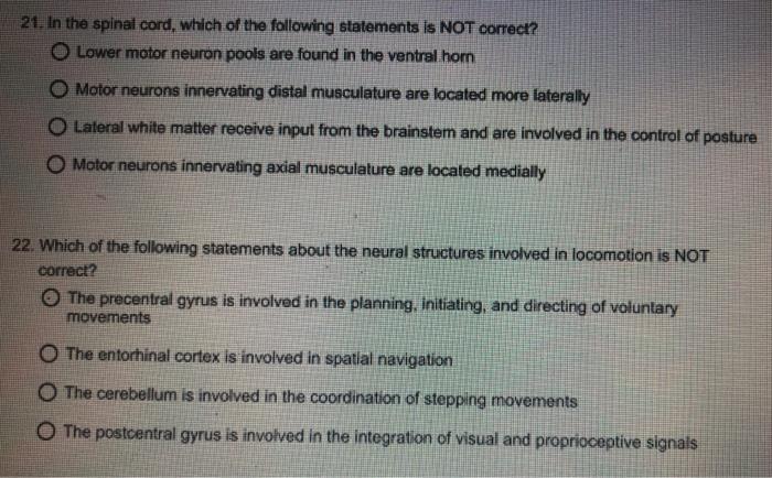 Solved 21. In the spinal cord, which of the following | Chegg.com