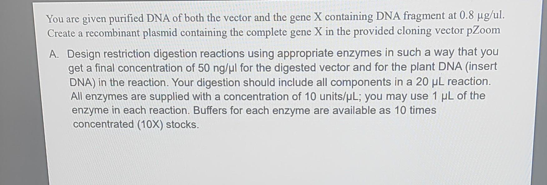 Solved You are given purified DNA of both the vector and the | Chegg.com