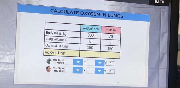 Solved CALCULATE OXYGEN IN LUNGS Body mass, kg Lung volume, | Chegg.com
