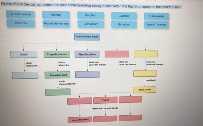 Solved Please move the correct terms into their | Chegg.com
