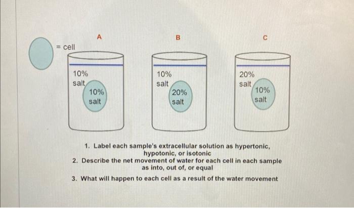 Solved 1. Label each sample's extracellular solution as | Chegg.com