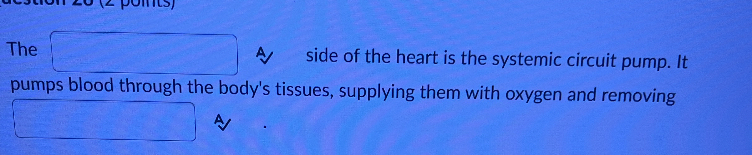 Solved TheA side of the heart is the systemic circuit pump. | Chegg.com