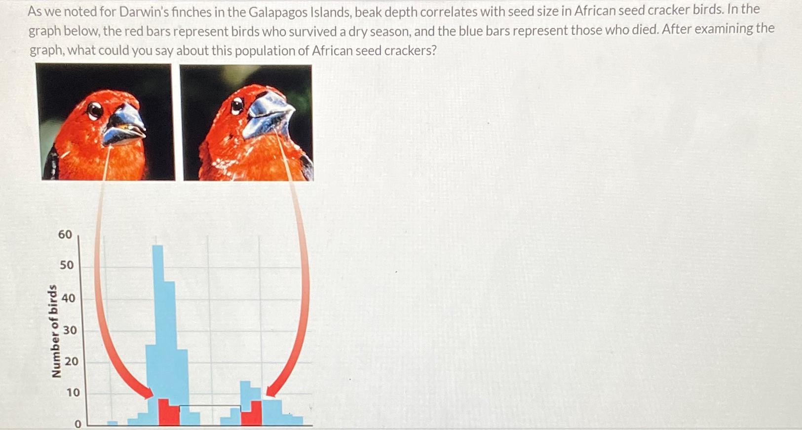 Solved As we noted for Darwin's finches in the Galapagos | Chegg.com