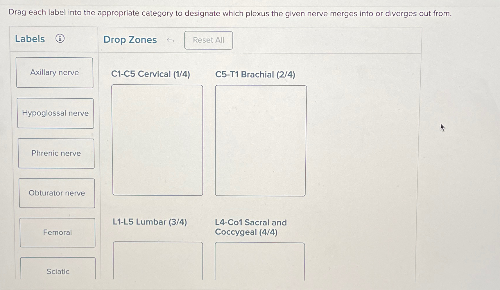 Solved Drag each label into the appropriate category to | Chegg.com
