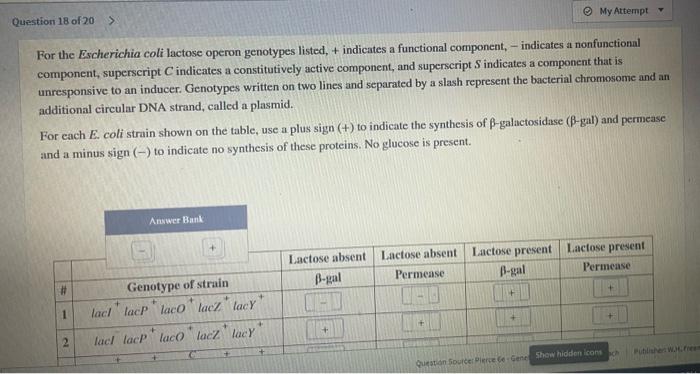 For the Escherichia coli lactose operon genotypes | Chegg.com