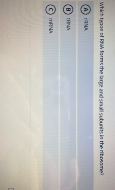 Solved Which typoe of RNA forms the large and small subunits | Chegg.com