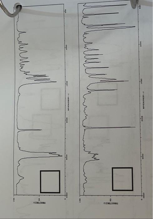 Solved Please make answers clear and label molecular motions | Chegg.com