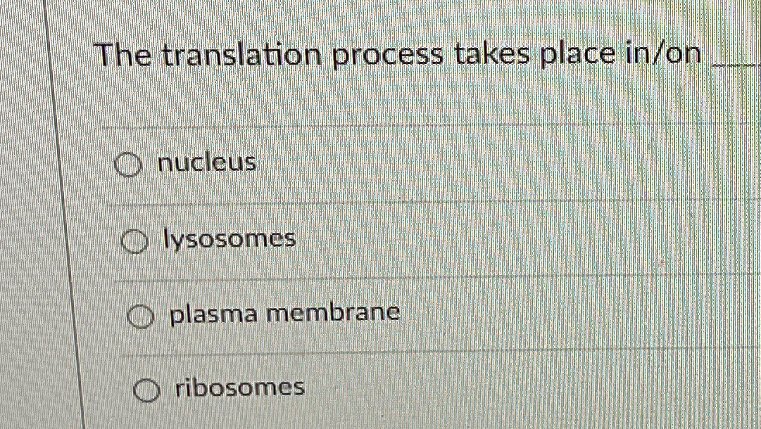 Solved The translation process takes place in/on | Chegg.com