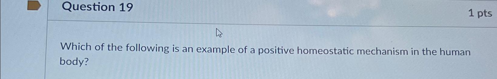 Solved Question 191 ﻿ptsWhich of the following is an example | Chegg.com