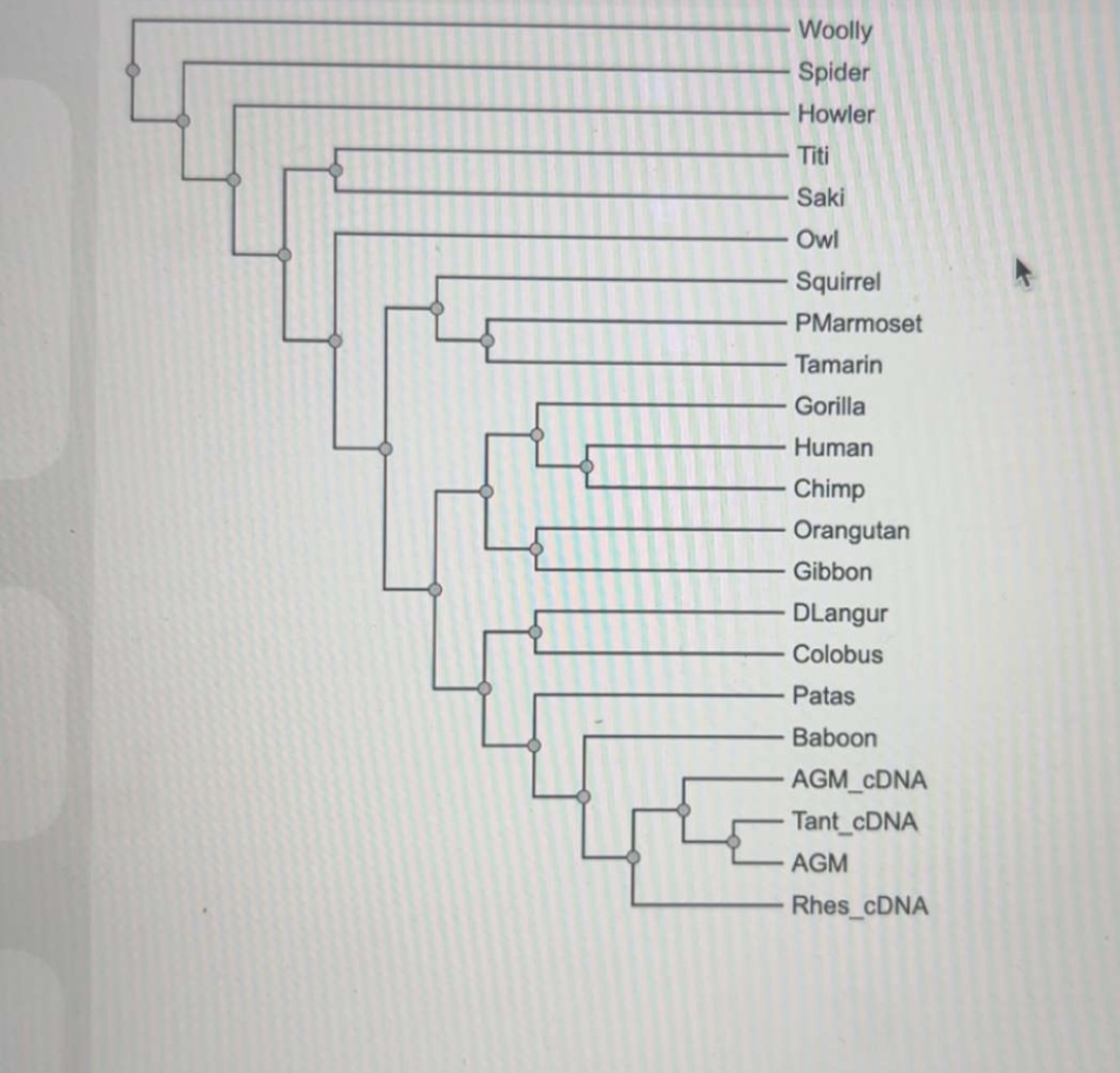 Solved Which group is represented in the example | Chegg.com