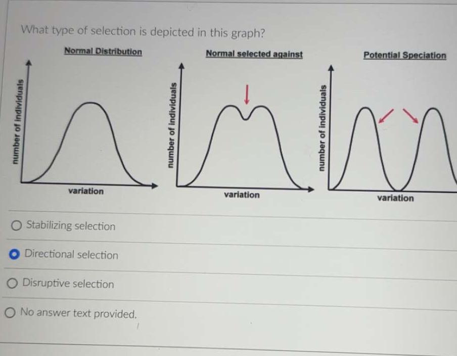 Solved What type of selection is depicted in this | Chegg.com