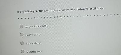 Solved In a functioning cardiovascular system, where does | Chegg.com