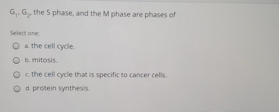 Solved GG, the Sphase, and the M phase are phases of Select | Chegg.com