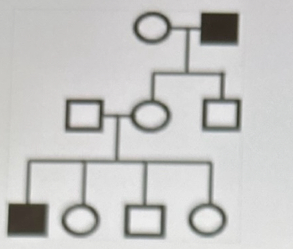 Solved The following pedigree represents the inheritance | Chegg.com