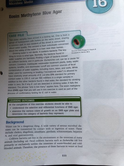 Solved TOT Zoo Add Page Insert Table Chart Text Shape Media | Chegg.com