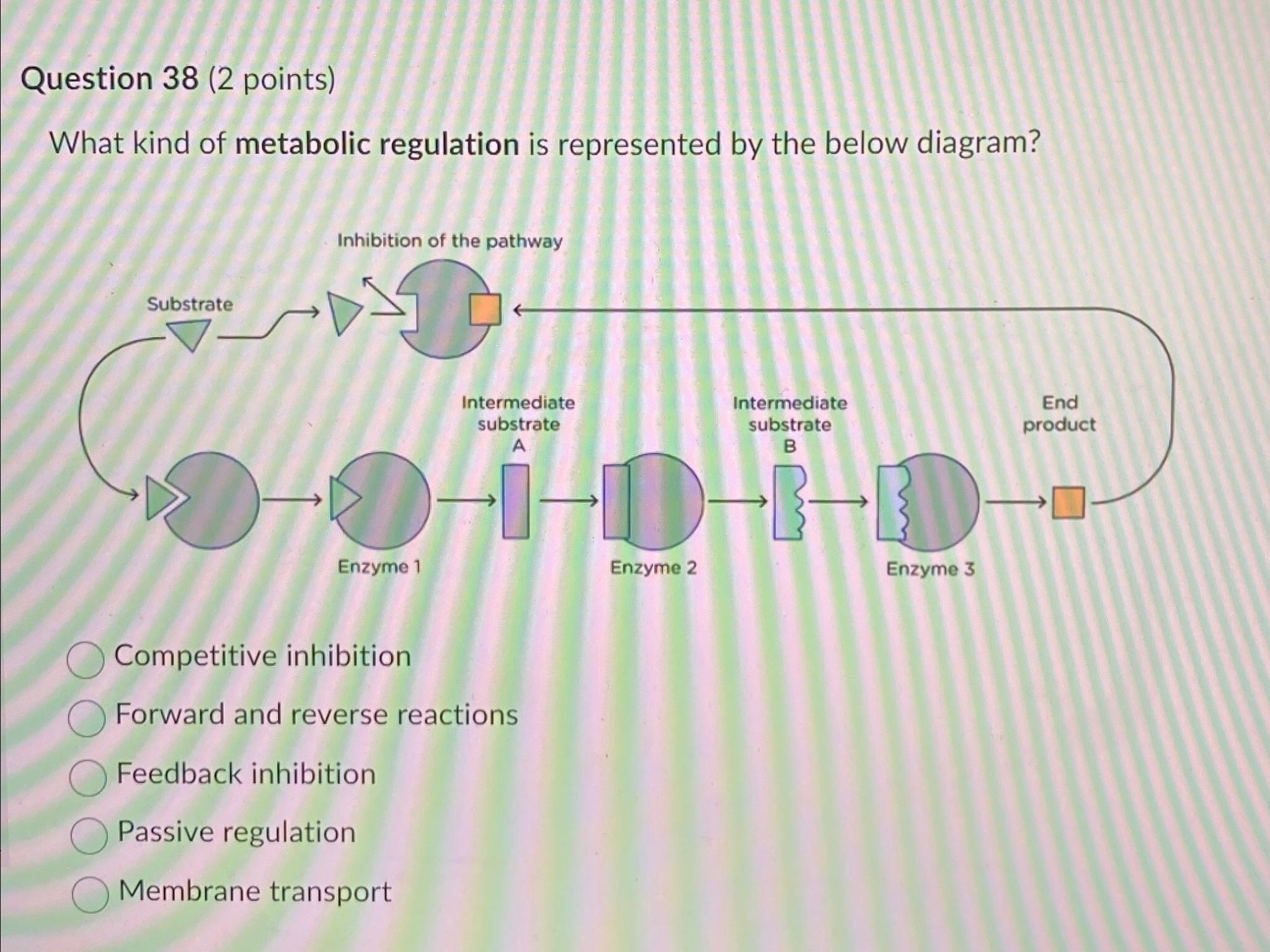 Solved Question 38 ( 2 ﻿points)What kind of metabolic | Chegg.com