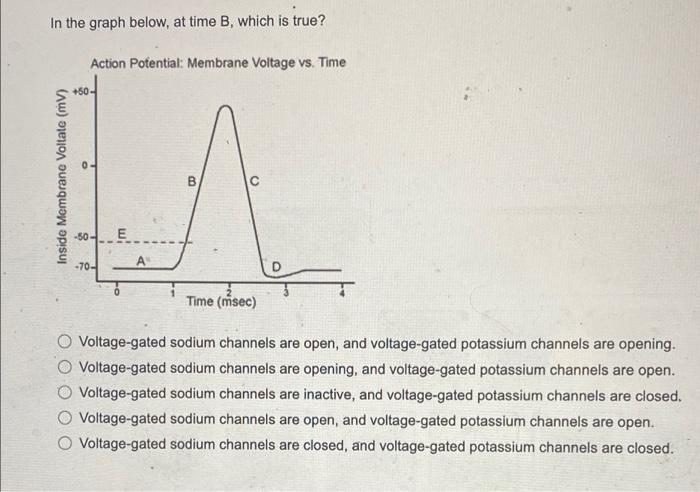 Solved QUESTION 11 In the graph below, A represents Action | Chegg.com