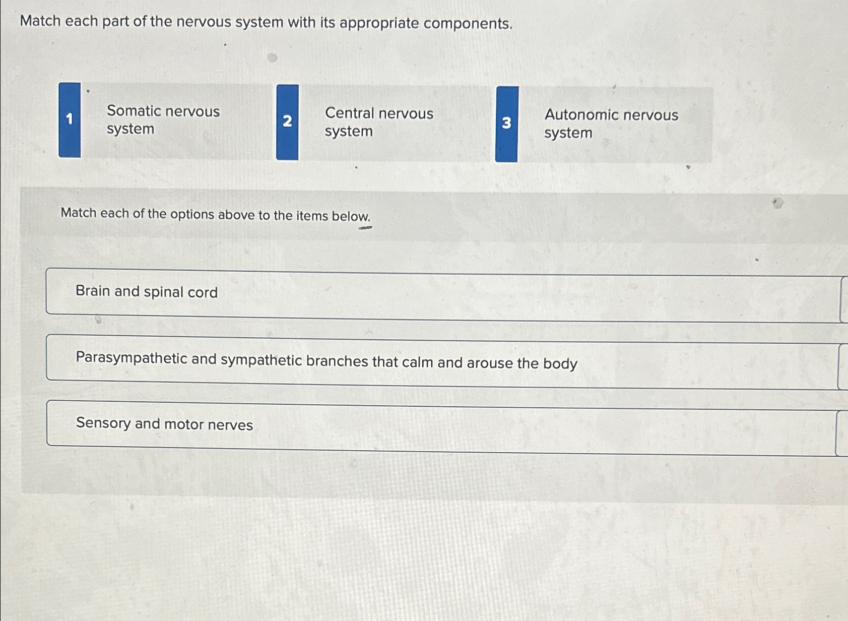 Solved Match each part of the nervous system with its | Chegg.com