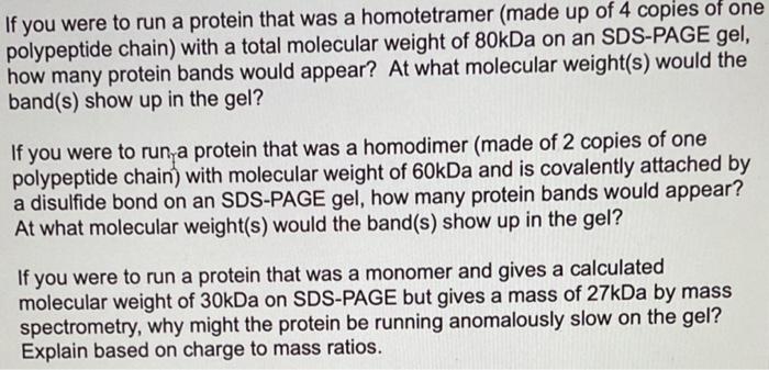 Solved If you were to run a protein that was a homotetramer | Chegg.com