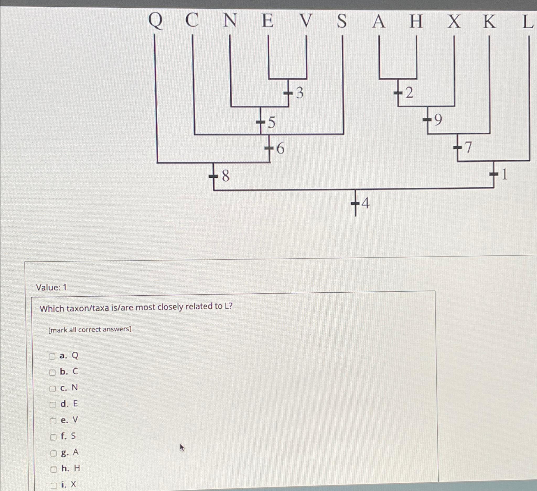 Solved Value 1which Taxontaxa Isare Most Closely Related 