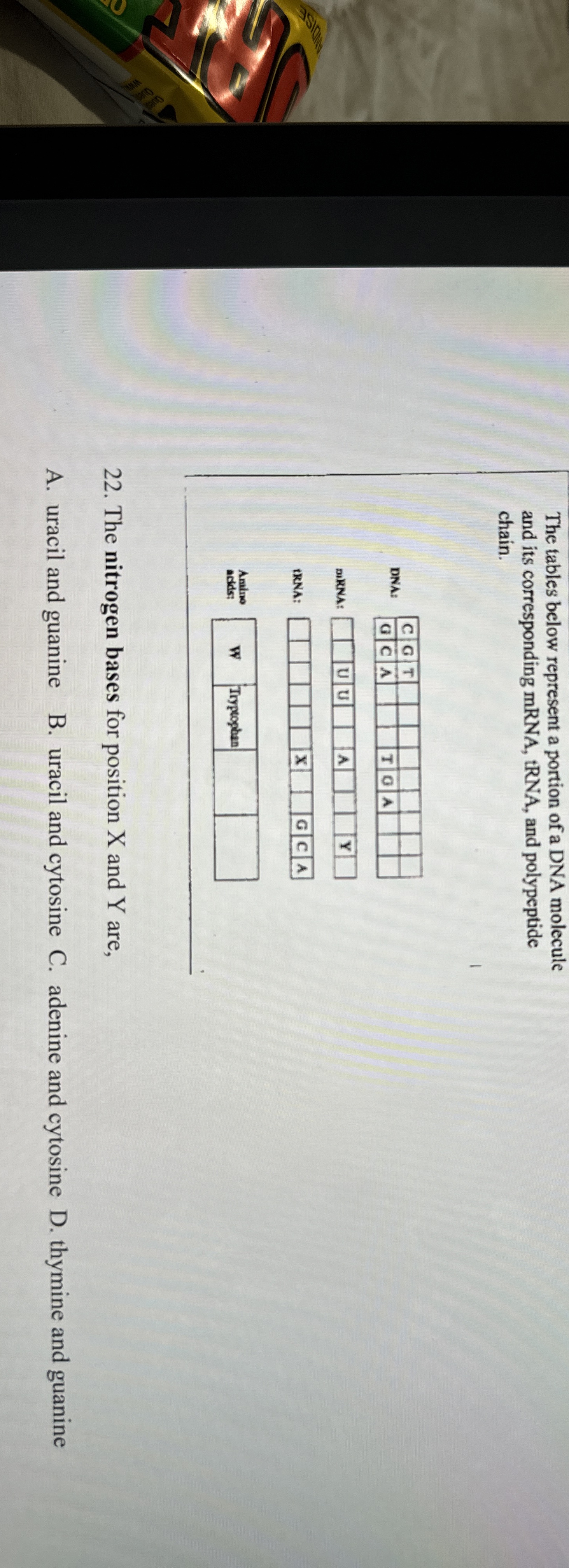 Solved The tables below represent a portion of a DNA | Chegg.com