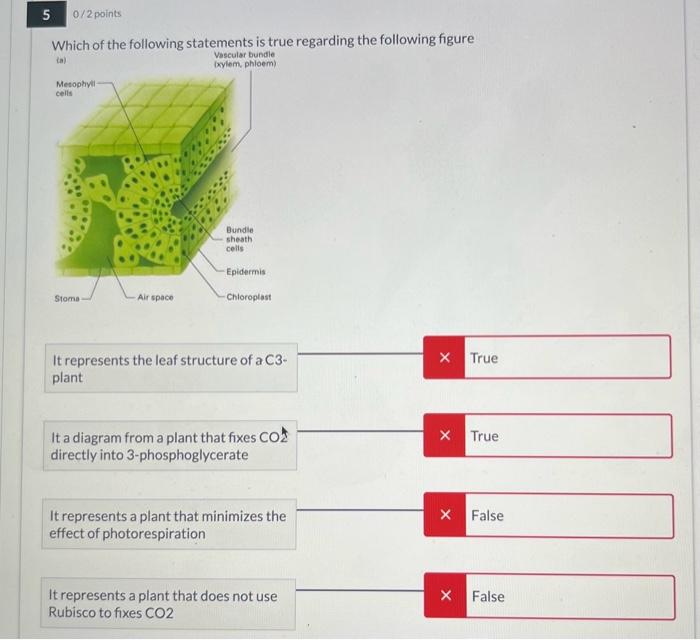 Solved Which of the following statements is true regarding | Chegg.com