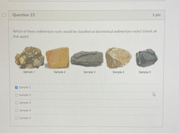 Solved Which of these sedimentary rocks would be classified | Chegg.com