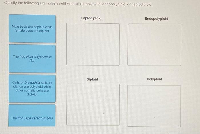 Solved Classify the following examples as either euploid, | Chegg.com