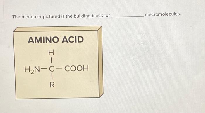 Solved The monomer pictured is the building block for AMINO | Chegg.com