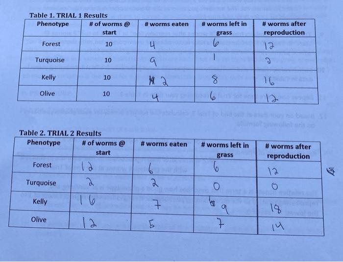 Solved how do i calculate the phenotype frequency for the 4 | Chegg.com