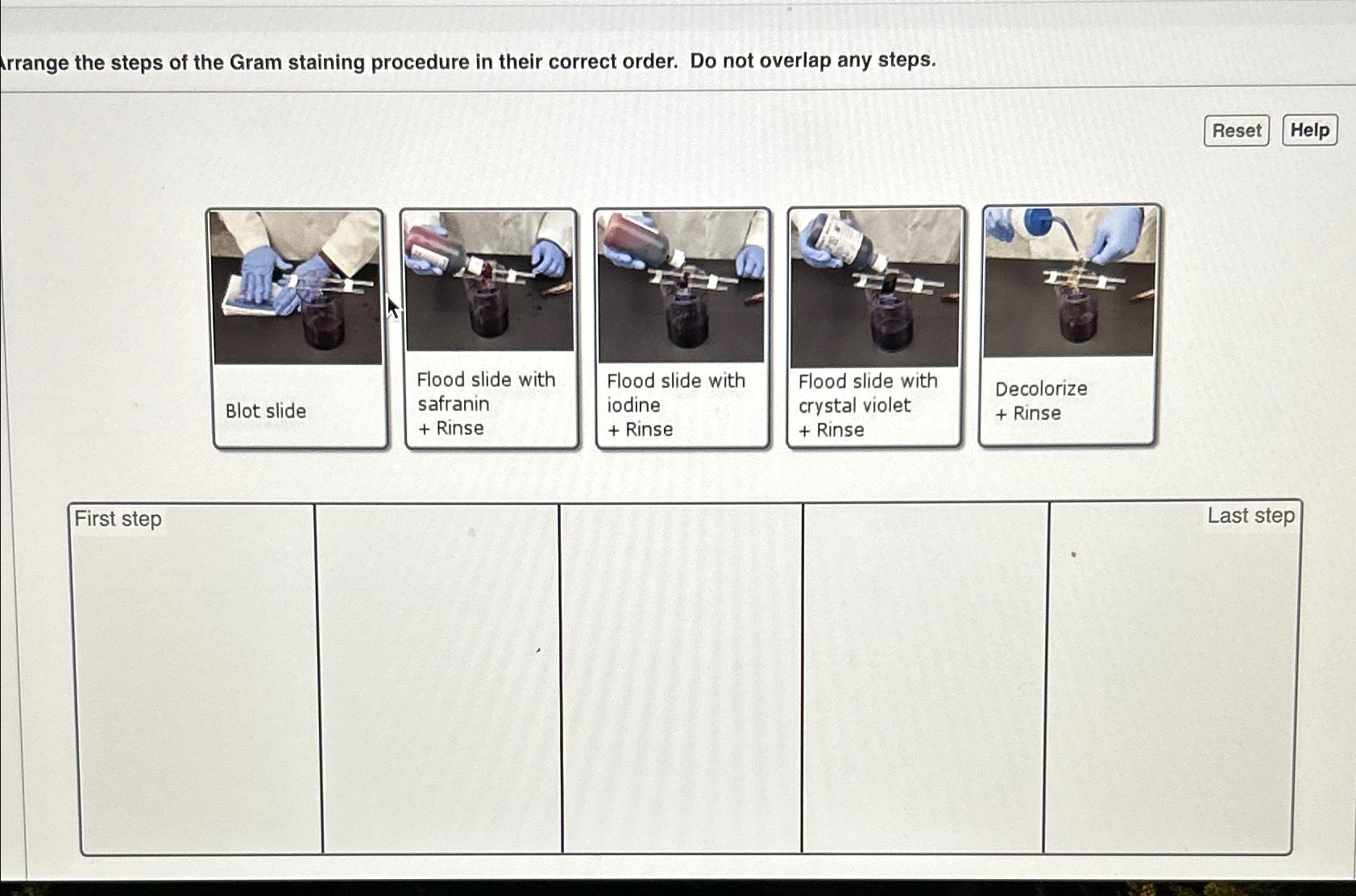 Solved Arrange the steps of the Gram staining procedure in | Chegg.com