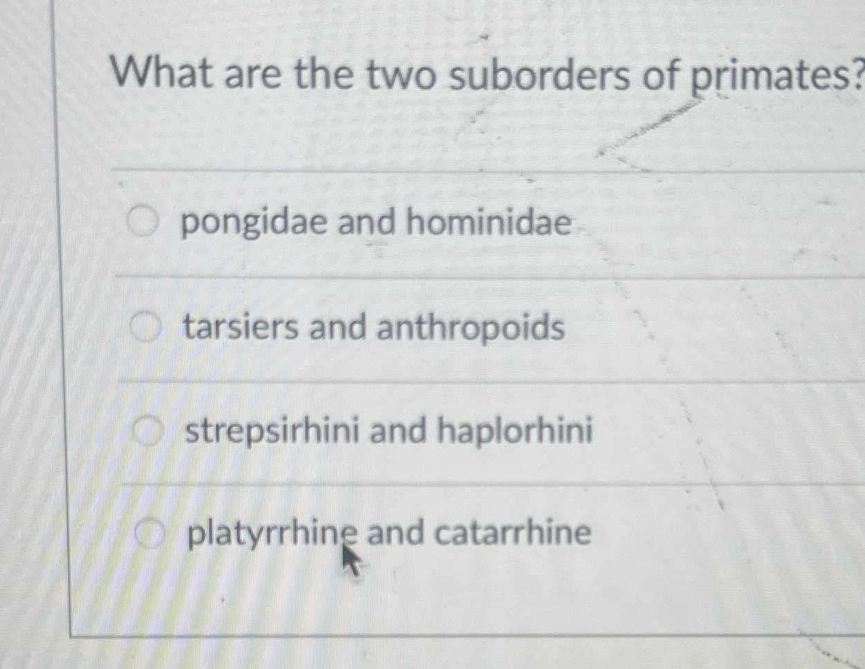 Solved What are the two suborders of primates?pongidae and | Chegg.com