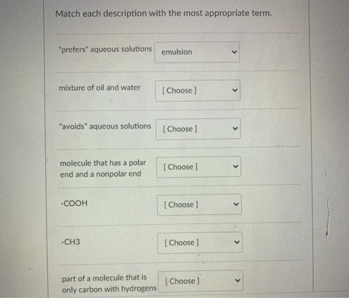 Solved Match each description with the most appropriate | Chegg.com