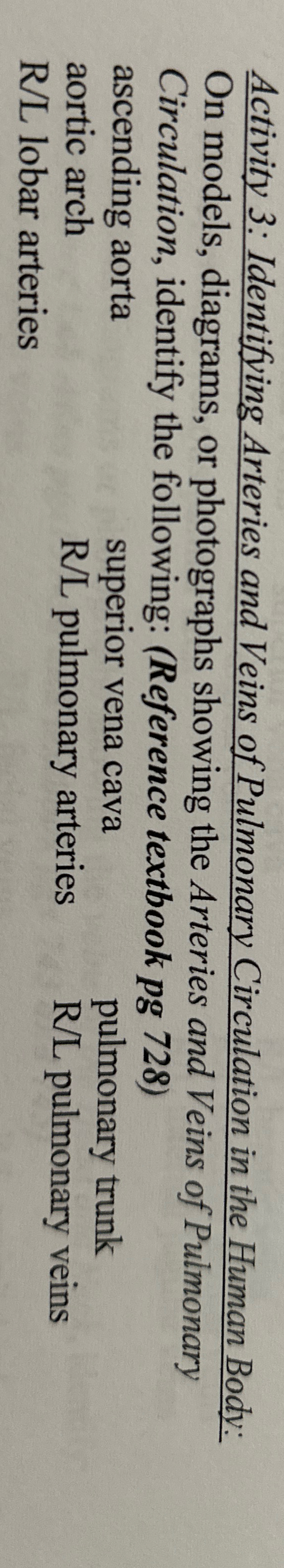 Solved Activity 3: Identifying Arteries and Veins of | Chegg.com