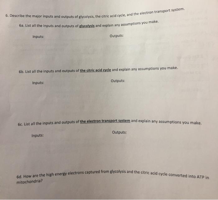 Solved 6. Describe the major inputs and outputs of | Chegg.com