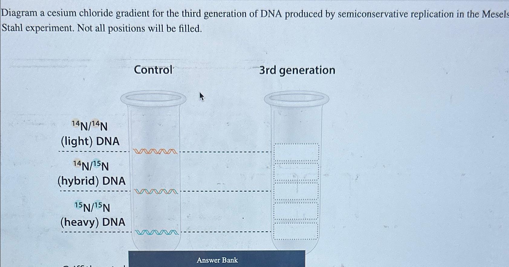 Diagram A Cesium Chloride Gradient For The Third