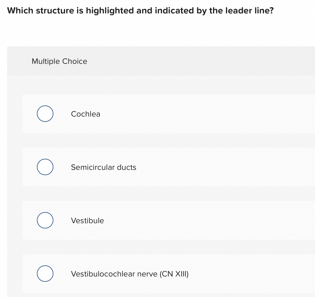 Solved Which structure is highlighted and indicated by the | Chegg.com