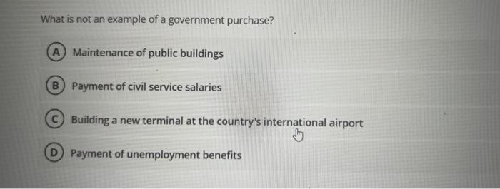 Solved What is not an example of a government purchase? | Chegg.com