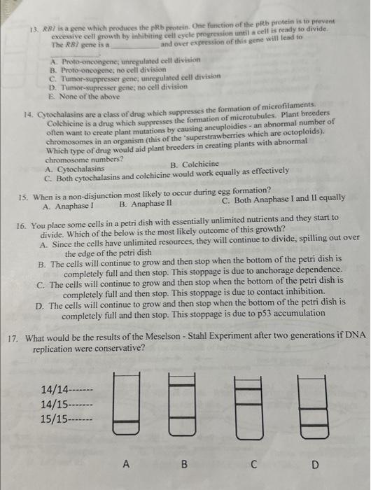 Solved 13. RB] is a gene which produces the pRb protein. One | Chegg.com