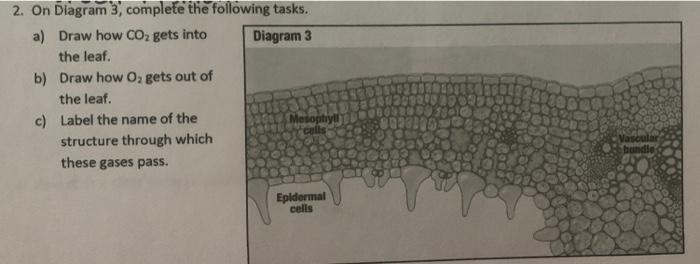 Solved 2. On Diagram 3, complete the following tasks. a) | Chegg.com