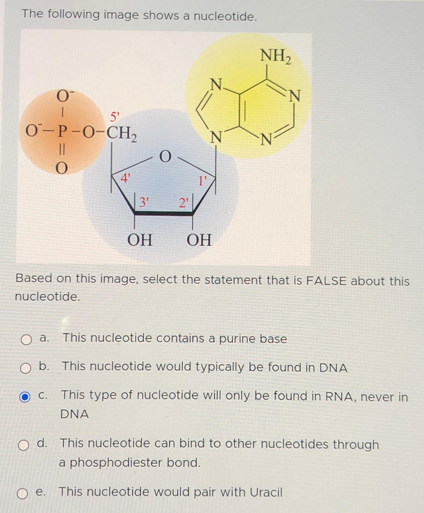 Solved The following image shows a nucleotide.Based on this | Chegg.com
