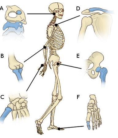 Solved label | Chegg.com