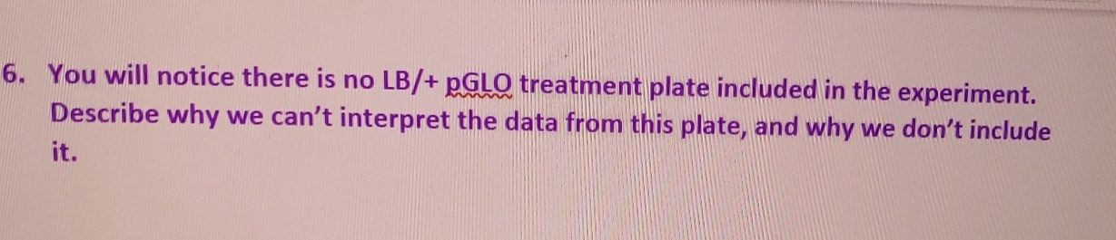 Solved You will notice there is no LB/+ ﻿pGLO treatment | Chegg.com