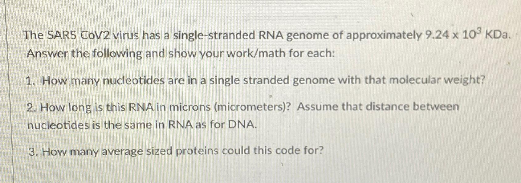 Solved The SARS CoV2 ﻿virus has a single-stranded RNA genome | Chegg.com