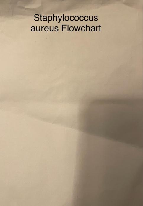 Staphylococcus aureus Flowchart heck Date Organism: | Chegg.com