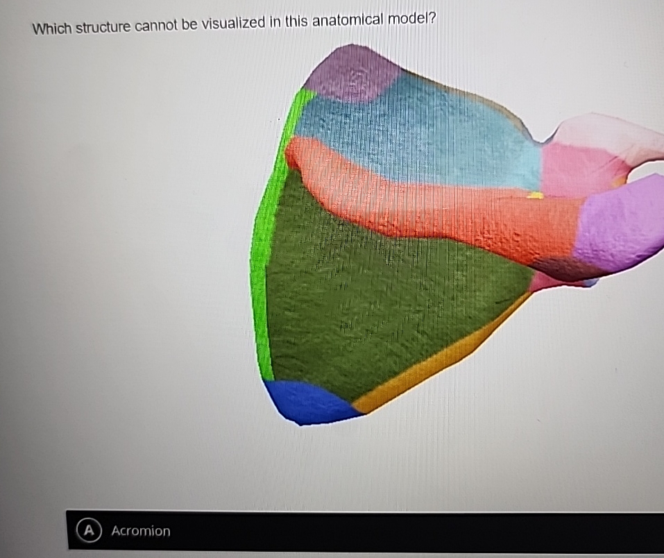 Solved Which structure cannot be visualized in this | Chegg.com