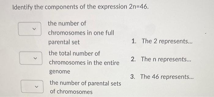 Solved Identify the components of the expression 2n=46. the | Chegg.com